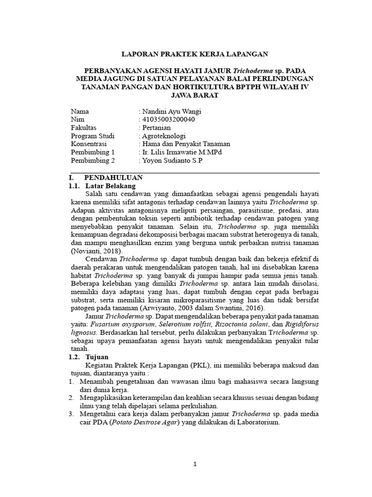 PERBANYAKAN AGENSI HAYATI JAMUR Trichoderma sp. PADA MEDIA JAGUNG DI ...