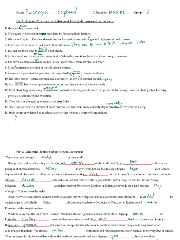 Error Correction Exercise Document | PDF