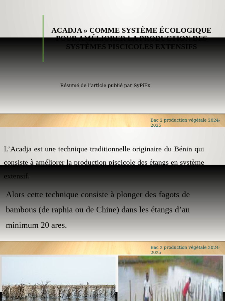 Méthode Acadja en Pisciculture Extensive | PDF