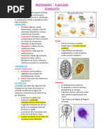 Retortamonas Intestinalis | PDF | Especialidades Medicas | Microbiología