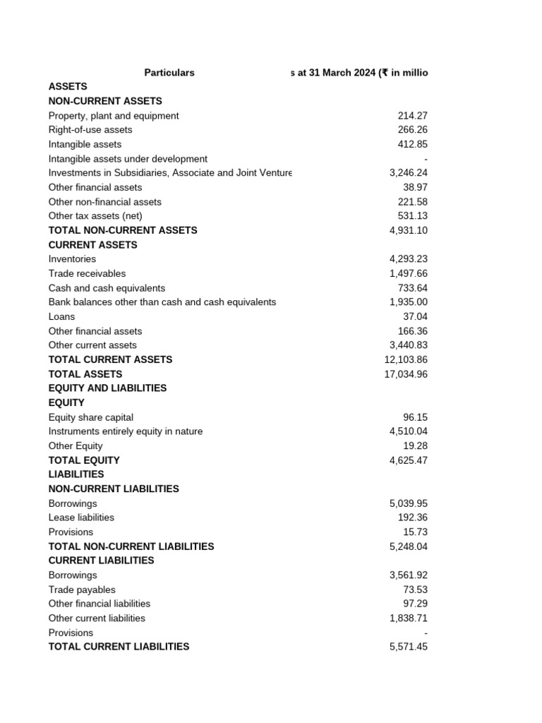 Boat Company Balance Sheet 2024 | PDF | Equity (Finance) | Private Sector