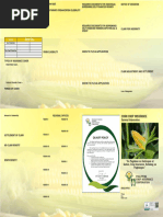 PCIC Products, Programs and Guidelines - RAFIS July 2, 2024 | PDF | Insurance | Trees