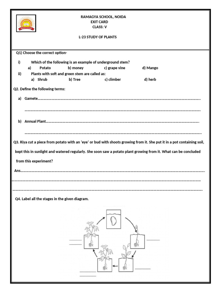 Class V Plant Study Exit Card | PDF