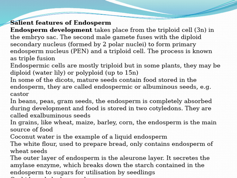 Endosperm Development and Functions | PDF