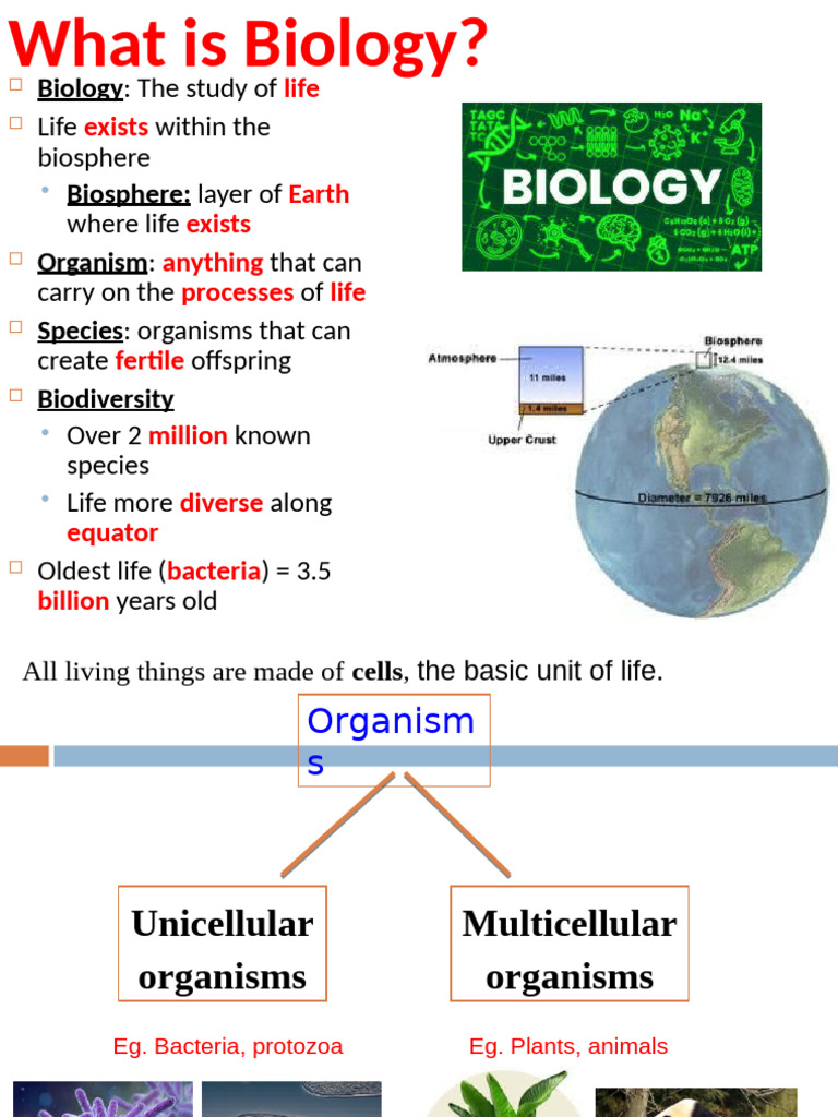Sturcture and Function of Cells | PDF | Cell (Biology) | Life