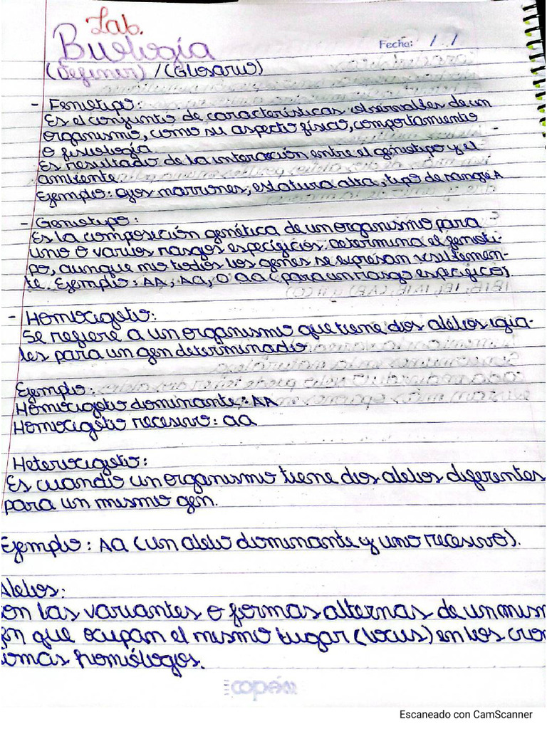 Glosario Perla Matos | PDF