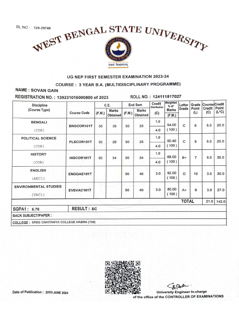 1st Year Marksheet | PDF