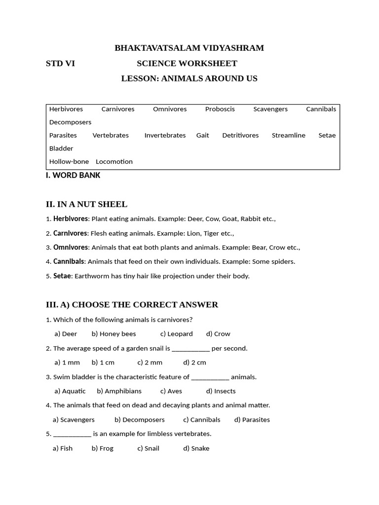 BV Vi Animals Around Us Worksheet 2025 | PDF | Herbivore | Skeleton