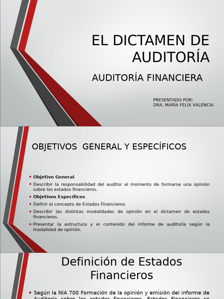 Dictamen de Auditoria | PDF | Auditoría | Estado financiero