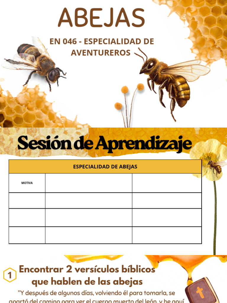 Presentación Las Abejas Realista Amarillo | PDF | Western Honey Bee ...