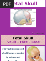 Fetal Skull Diameter Measurements | PDF
