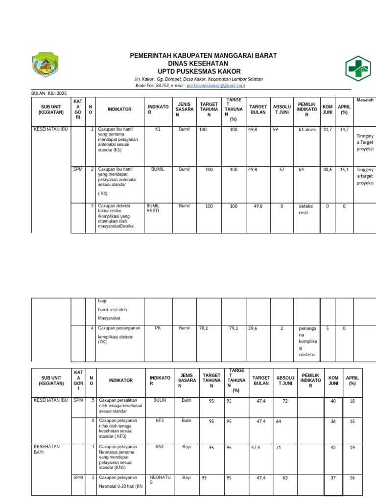 Hasil Pemantauan Dan Capaian Kinerja | PDF