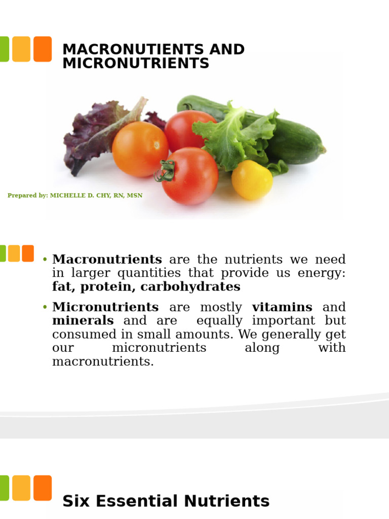 Essential Nutrients: Macronutrients & Micronutrients | PDF ...