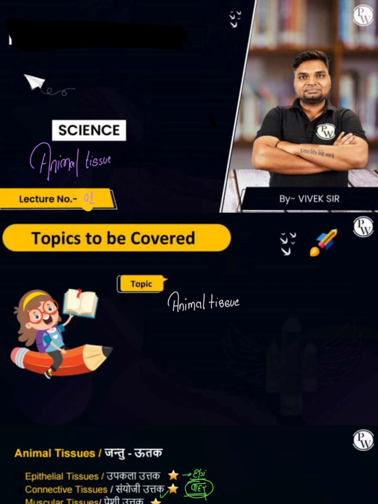 Animal Tissue 01 Class Notes | PDF