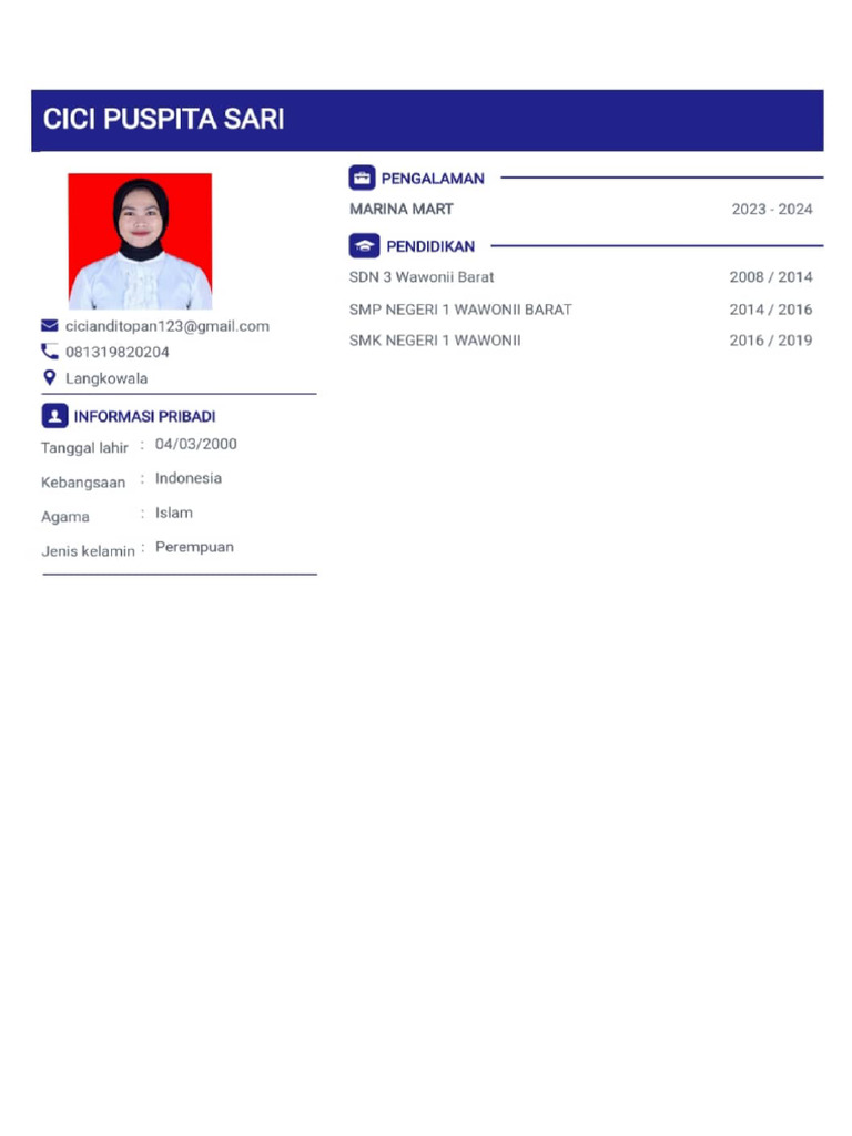 CV Cici Puspita Sari | PDF