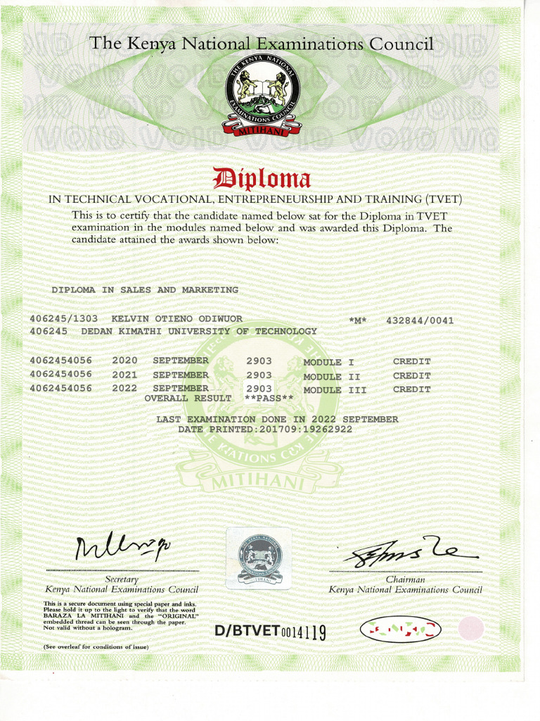 Diploma 20241005 123404 0000 | PDF