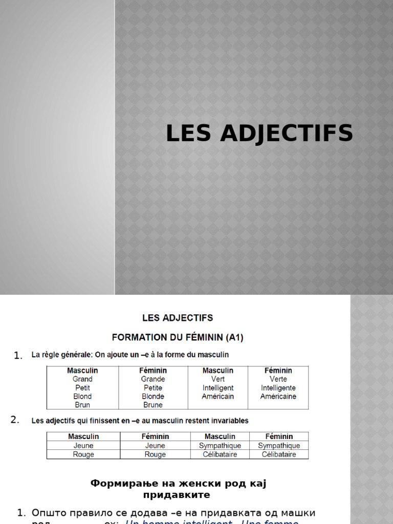 L'Accord Des Adjectifs | PDF