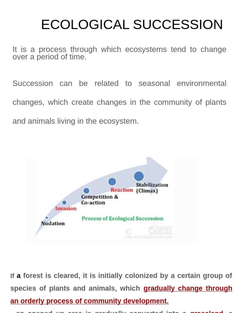 Ecological Succession & Case Studies | PDF | Ecosystem | Grassland