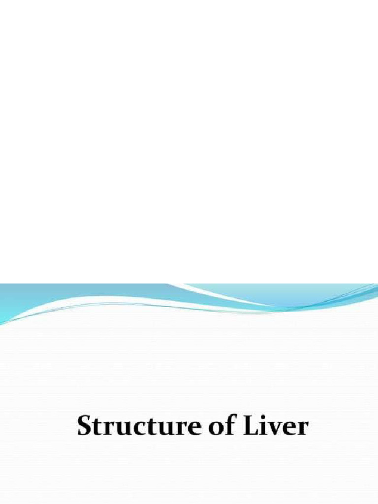 Liver Anatomy | PDF