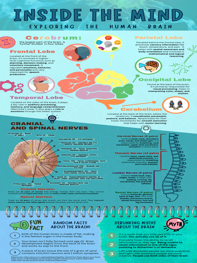 Biopsych Infographic PDF | PDF | Senses | Neuroanatomy