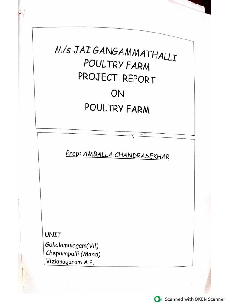 Project Report NFS | PDF