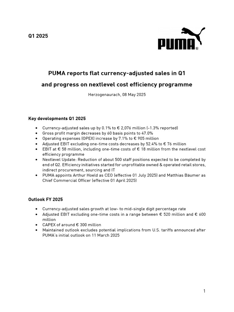 PUMA Q1 2025 Financial Overview | PDF | Earnings Per Share | Equity ...