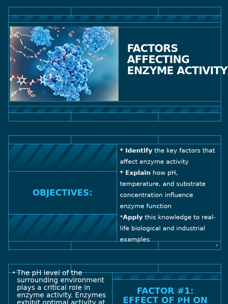 Factors Affecting Enzymes (Temperature PH and Subtrates) | PDF | Enzyme ...