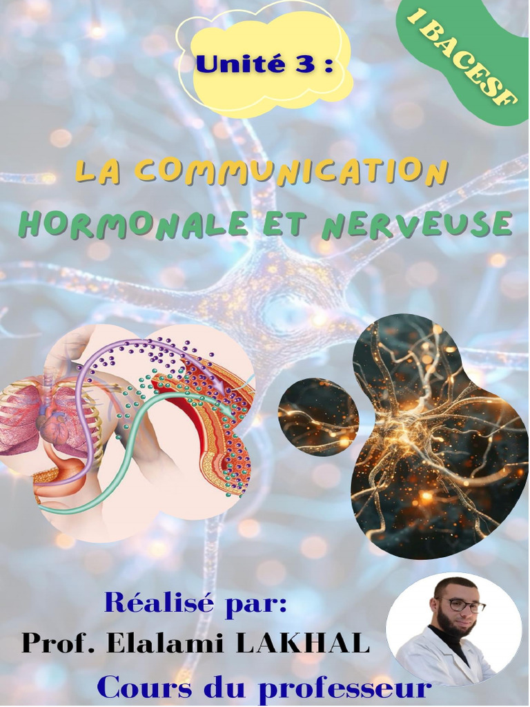 Communication hormonale et glycémie | PDF | Pancréas | Insuline
