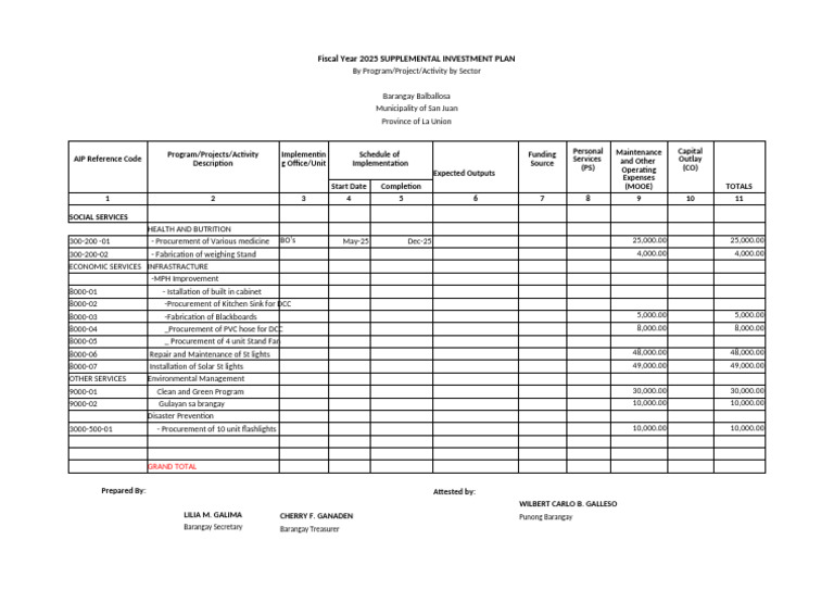 Supplemental Aip 2025 20% DF | PDF