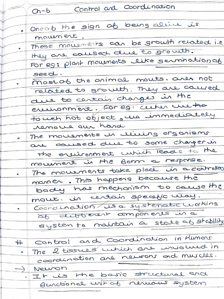 Control & Coordination | PDF