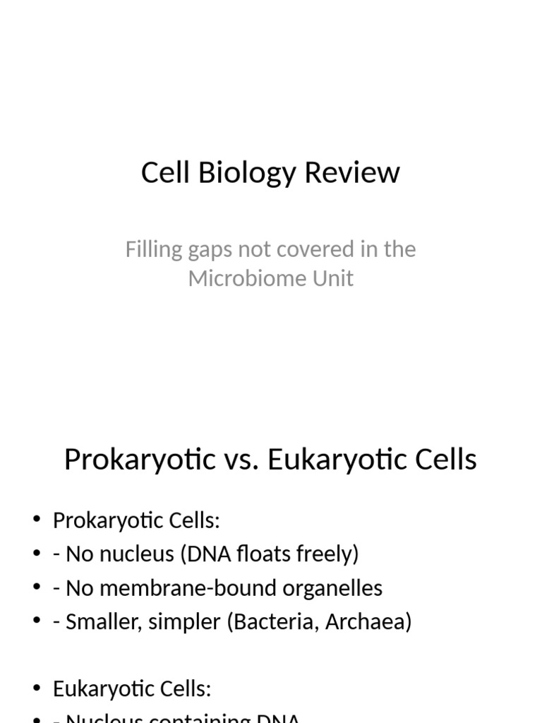Cell Biology Review | PDF