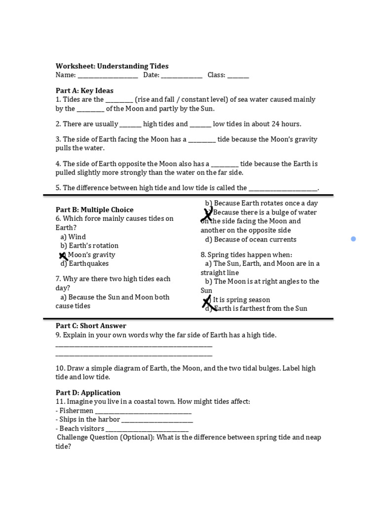 Understanding Tides Worksheet | PDF | Tide | Earth