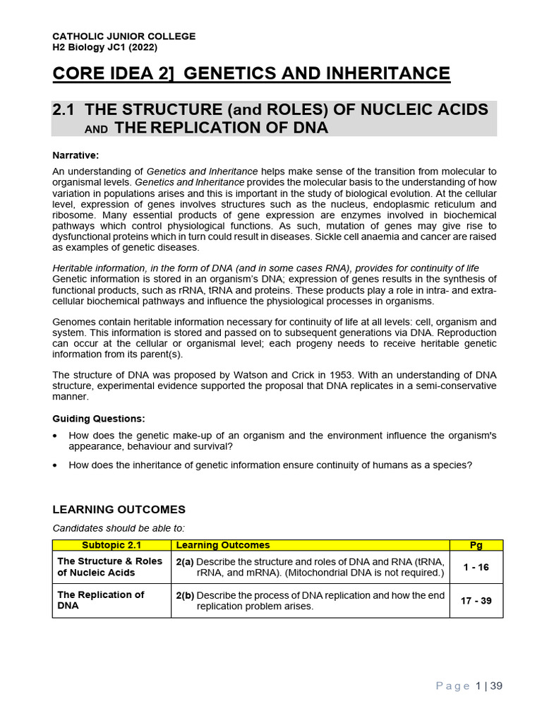 Nucleic Acids: Structure and DNA Replication | PDF | Nucleotides | Rna