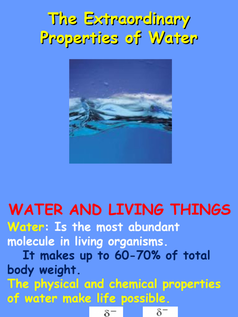 Properties of Water Explained | PDF | Properties Of Water | Water