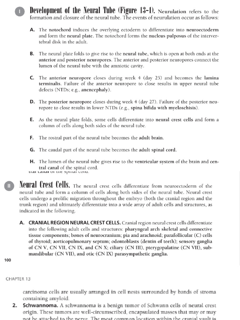 Cns | PDF