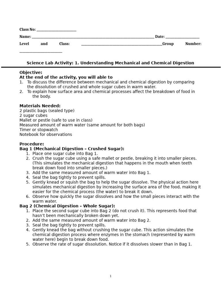 Mechanical vs Chemical Digestion Lab | PDF | Digestion | Enzyme