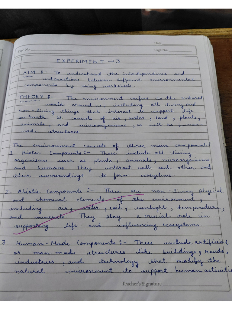 EVS Project 3 | PDF