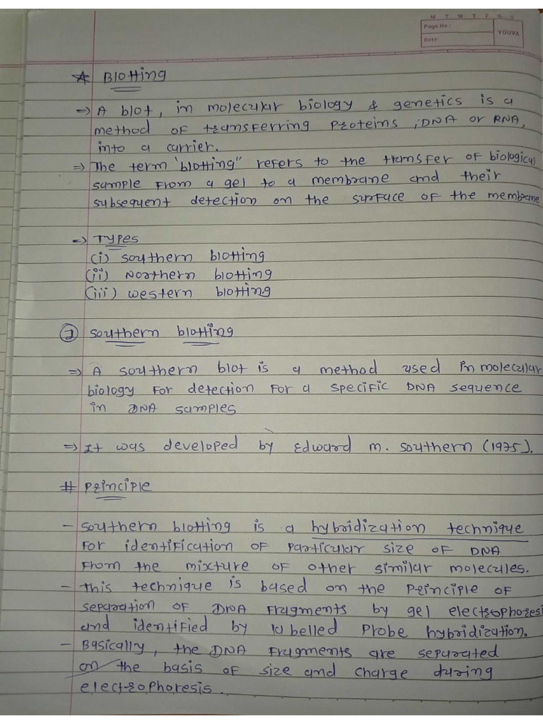 Blotting Mid Ans | PDF