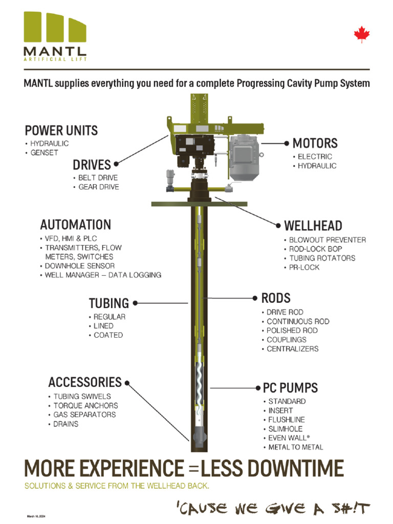 PCP Progressing Cavity Pumps System Overview | PDF