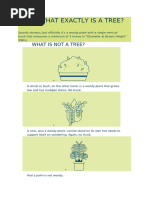 Owl Pellet Bone Identification Guide | PDF | Tooth | Rodent