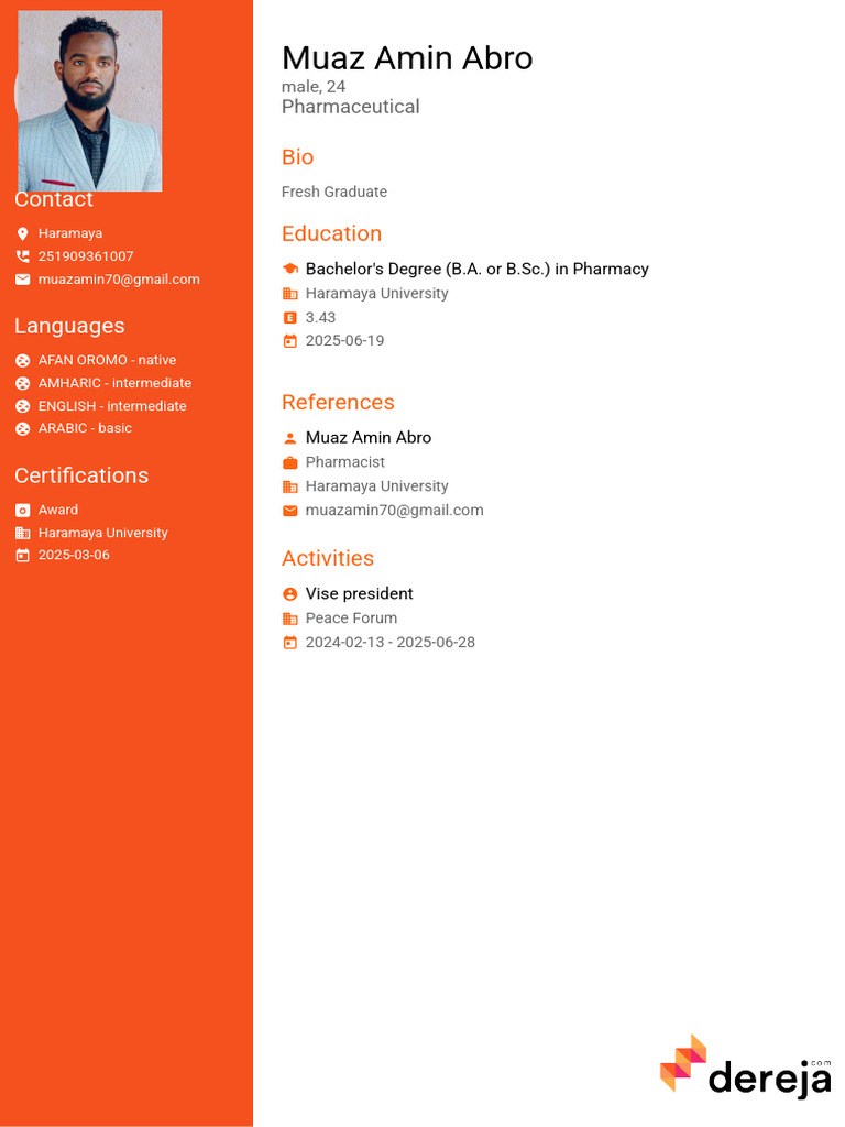 Muaz Amin Abro CV | PDF