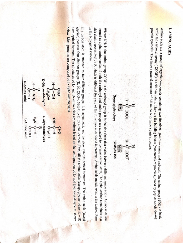 Bio Chem 600 | PDF