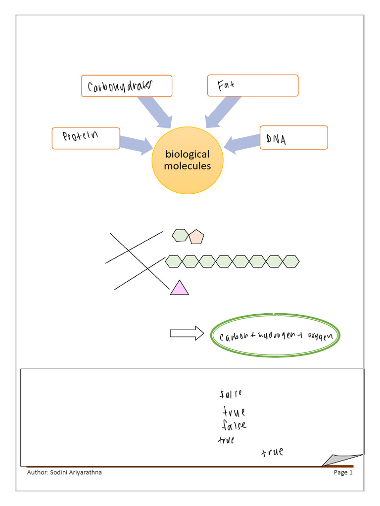 Biological Molecules Overview and Tests | PDF