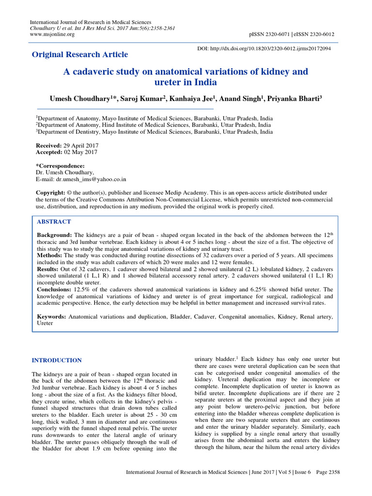 A Cadaveric Study On Anatomical Variatio | PDF | Kidney | Human Anatomy
