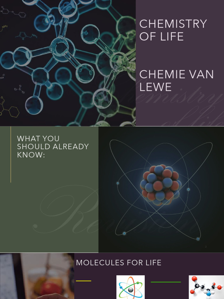 3) 10 - LS - T1 - Chemistry of Life - 250526 - 120841 | PDF | Chemical ...