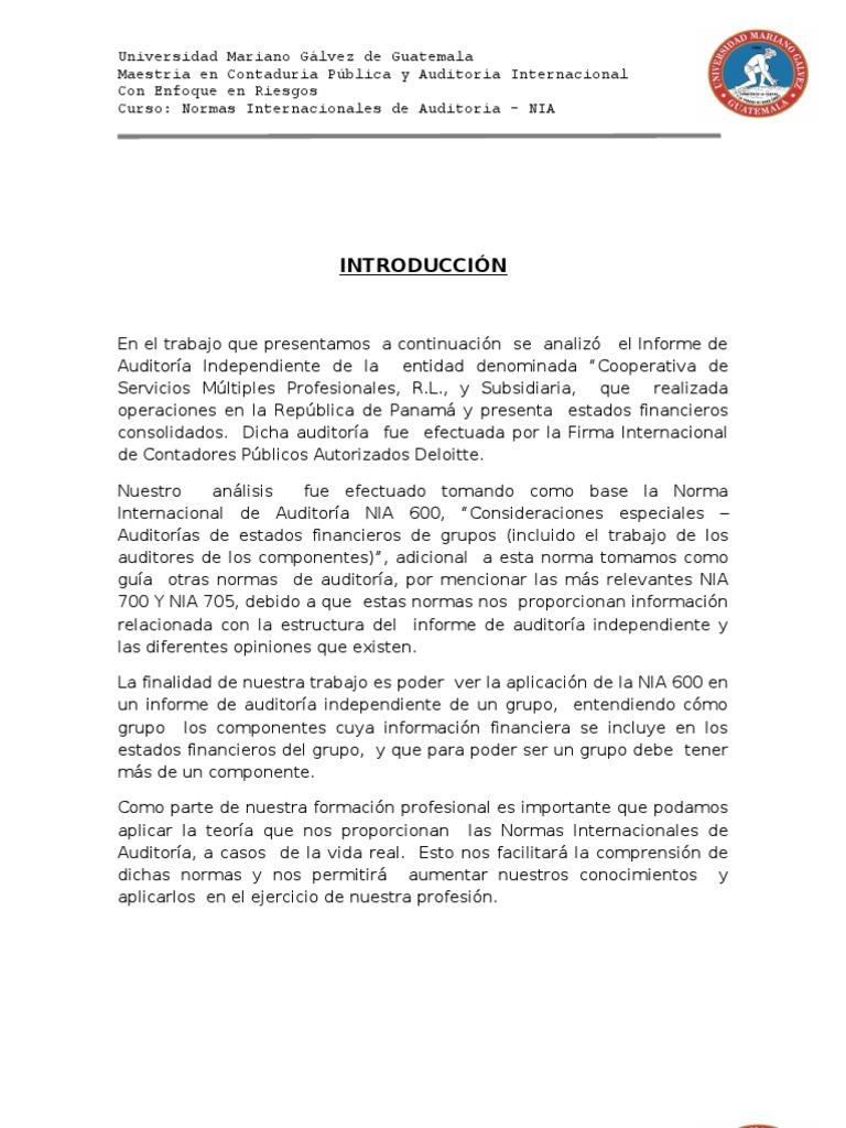 Trabajo Nia 600 | PDF | Auditoría financiera | Auditoría