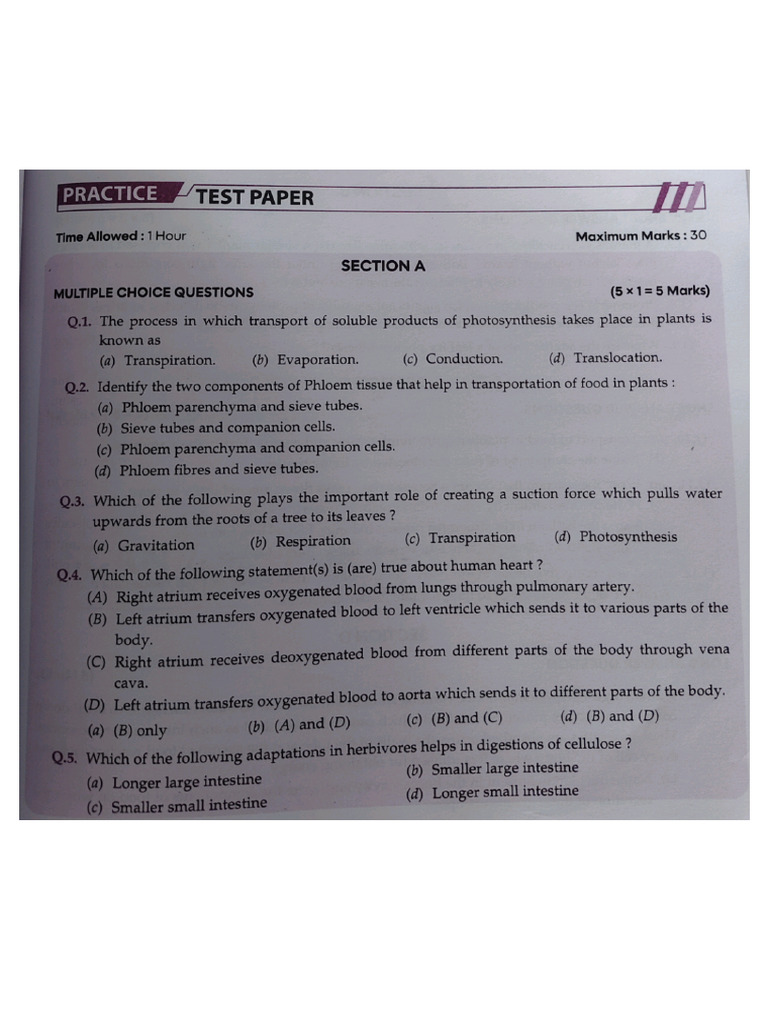 Life Process Worksheet | PDF