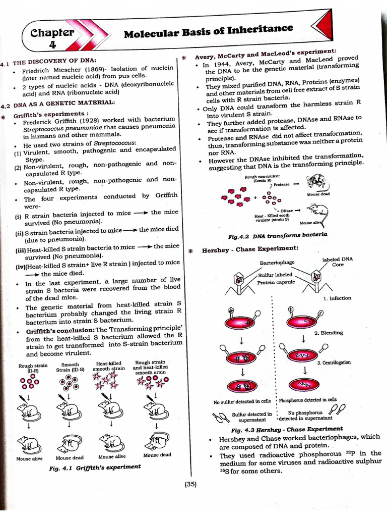 Ch. 4 Chemistry | PDF