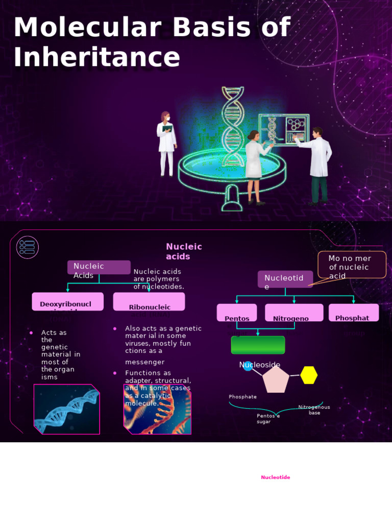 Molecular Basis of DNA and RNA Structure | PDF | Nucleotides | Dna