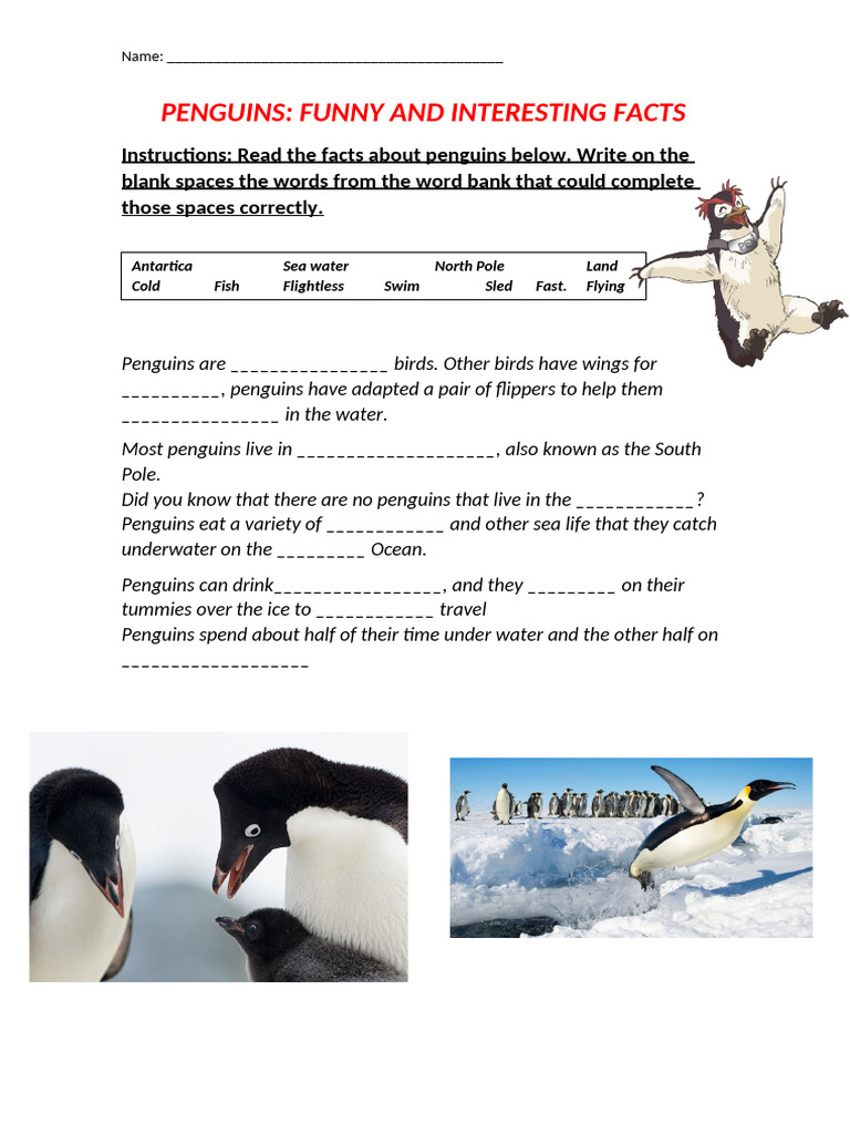 PENGUINS Worksheet A1 | PDF